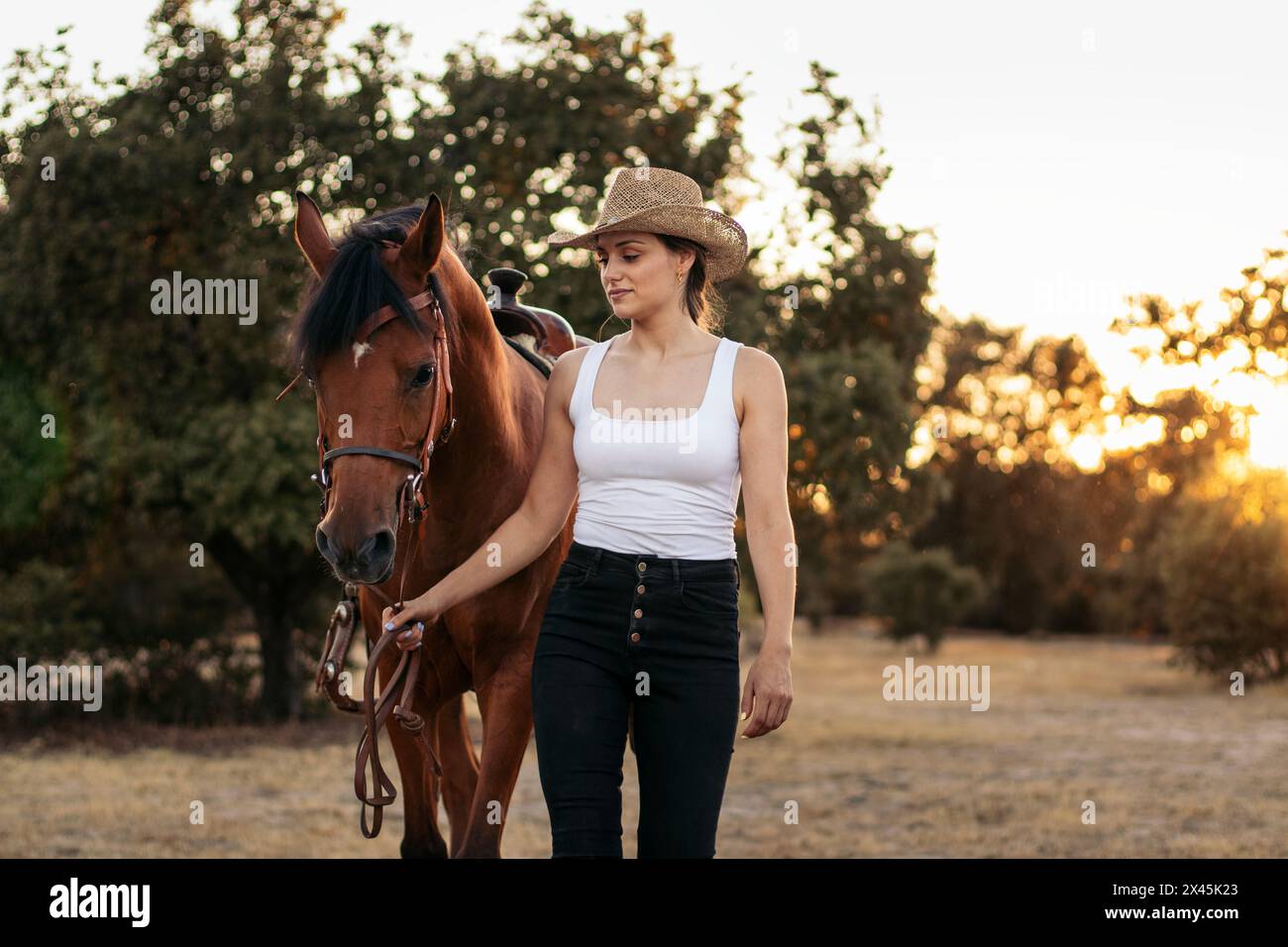 young woman walking with her horse in the countryside as the sun sets behind her Stock Photo - Alamy