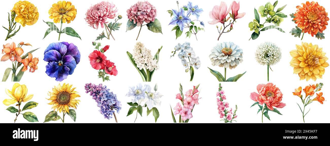 Watercolor flower set isolated background. Various floral collection of ...