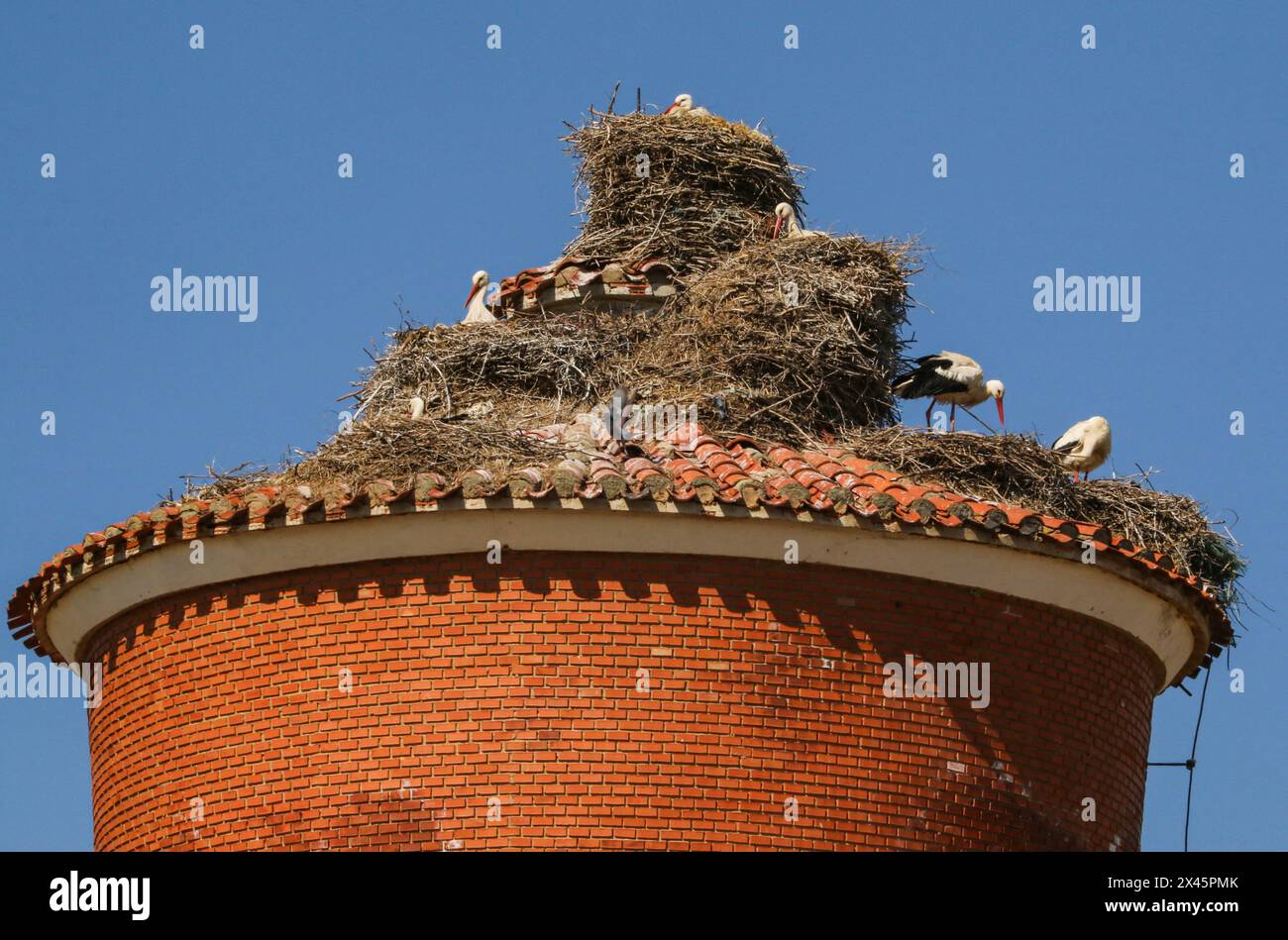 Several nests of white storks on a water tower in northern Spain Stock ...
