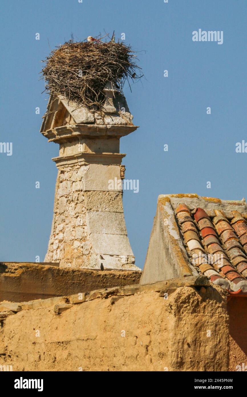 White stork nesting on an old chimney in northern Spain Stock Photo - Alamy