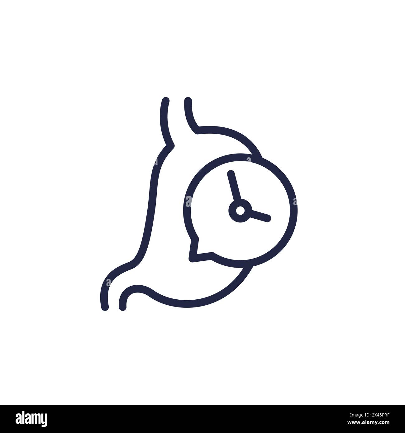 digestion, time to digest food icon with stomach Stock Vector Image ...