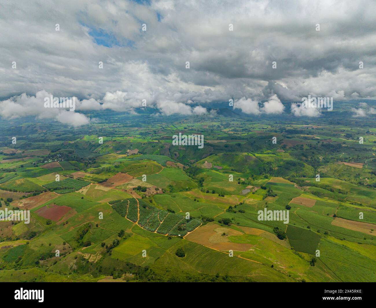 Top view of Mountain slopes with forest and agricultural land of ...