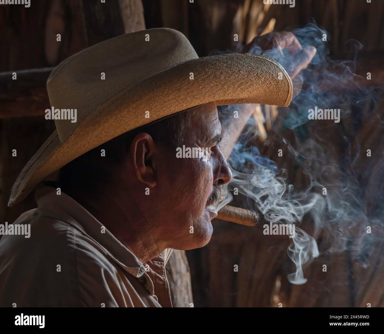 A moustached worker, wearing a cowboy hat, smoking a cigar in a drying ...