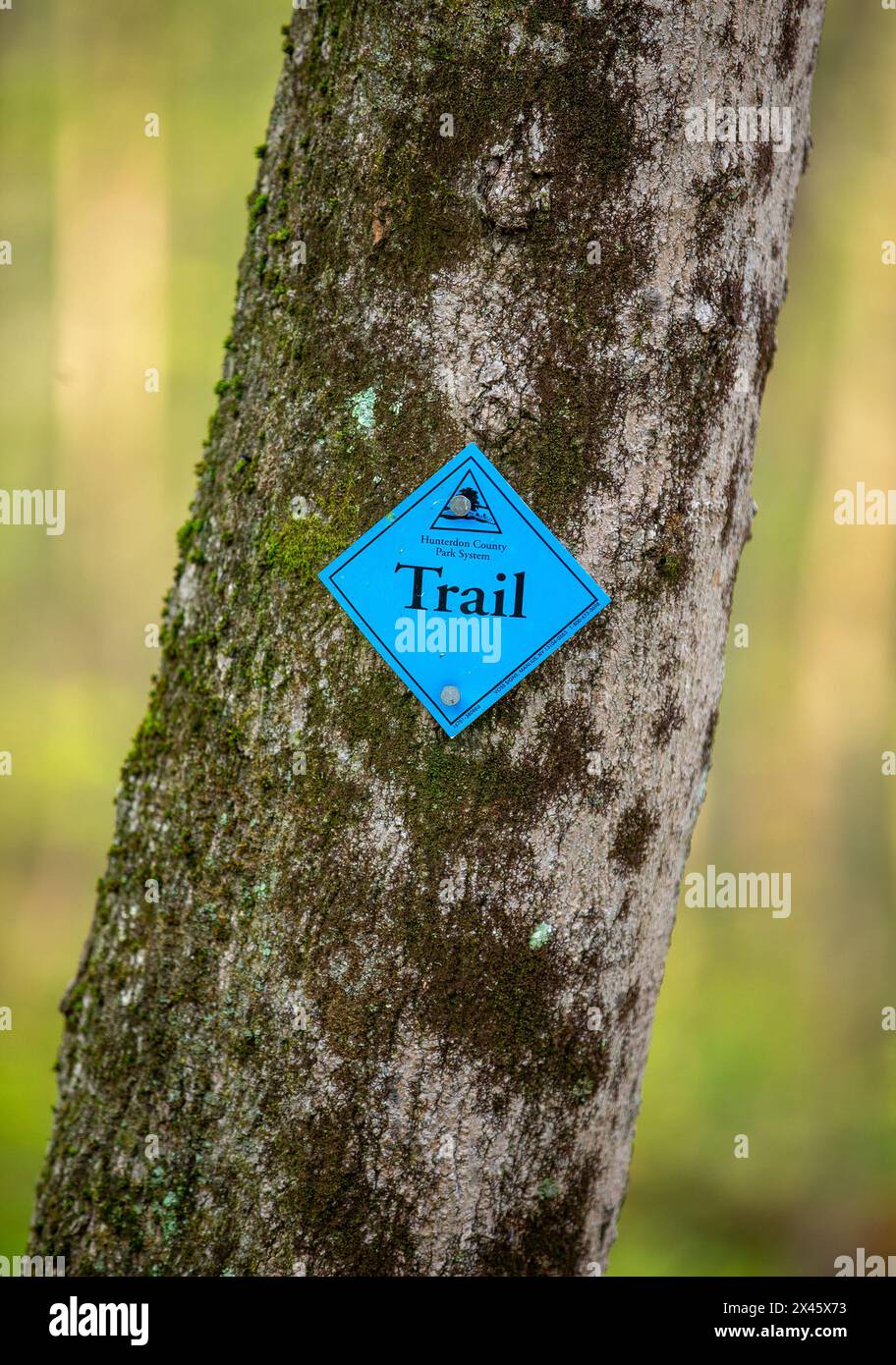 Blue trail marker on a hiking trail Stock Photo - Alamy