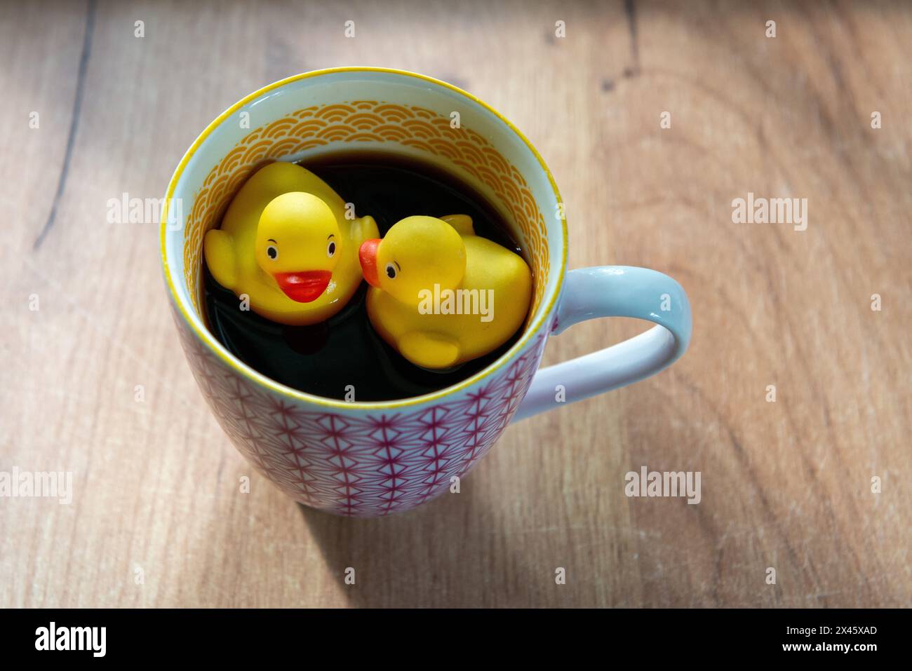 Plastic in food chain hi-res stock photography and images - Alamy