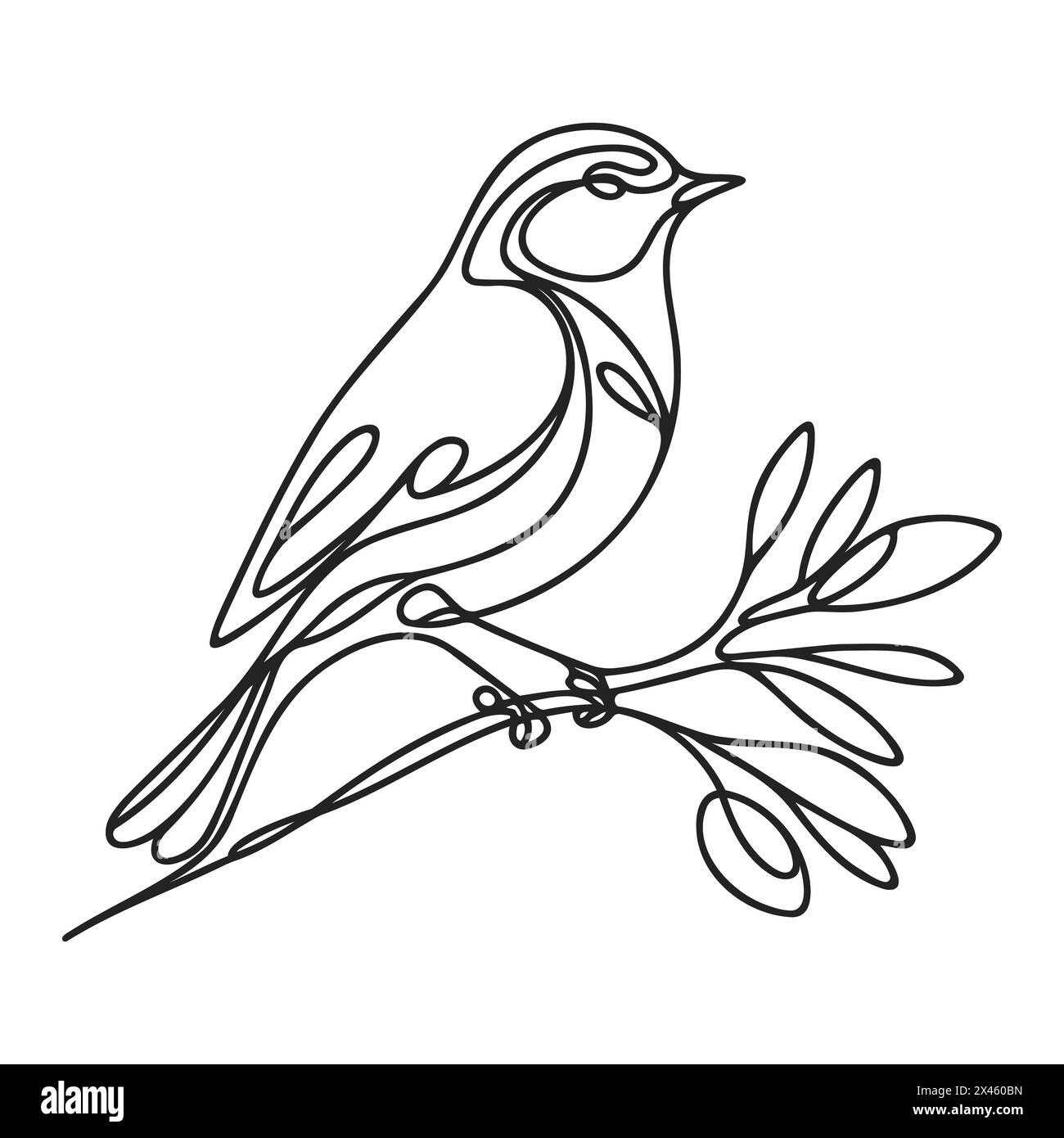 Continuous one line drawing bird. Minimalist bird, outline design Stock ...
