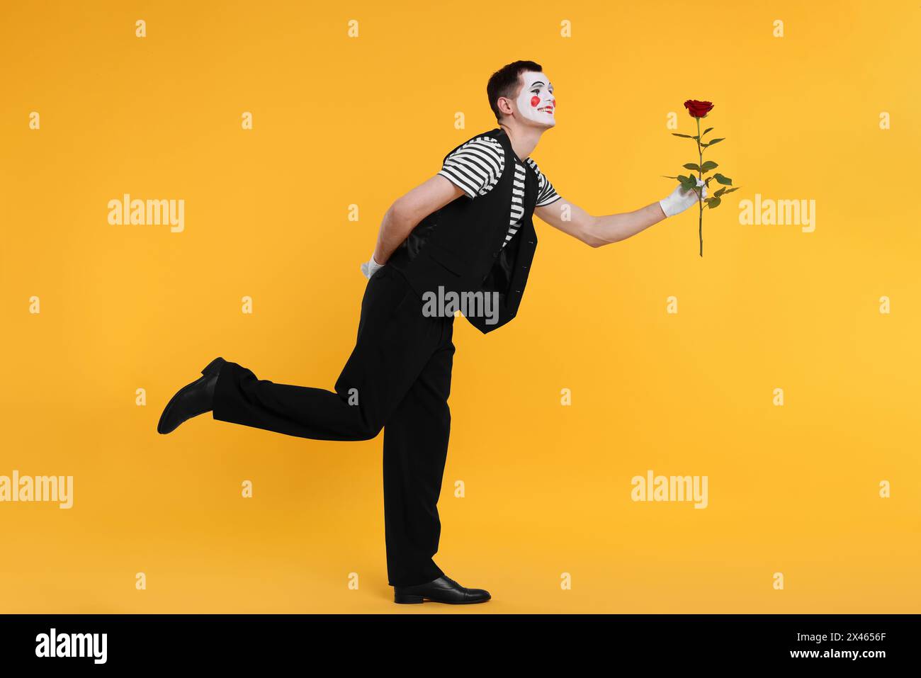 Funny mime artist with red rose posing on orange background Stock Photo ...