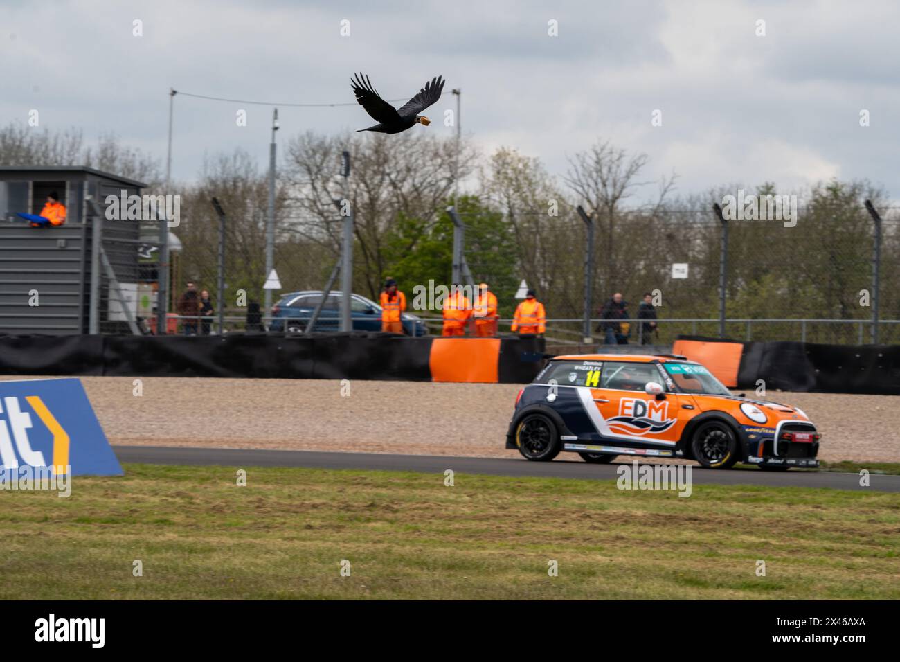 Dominic Wheatley 14 Vertu Motors Mini Challenge Donington Park at ...