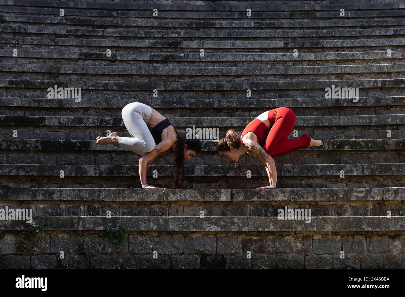 Fit females balancing in Bakasana pose while practicing yoga together ...