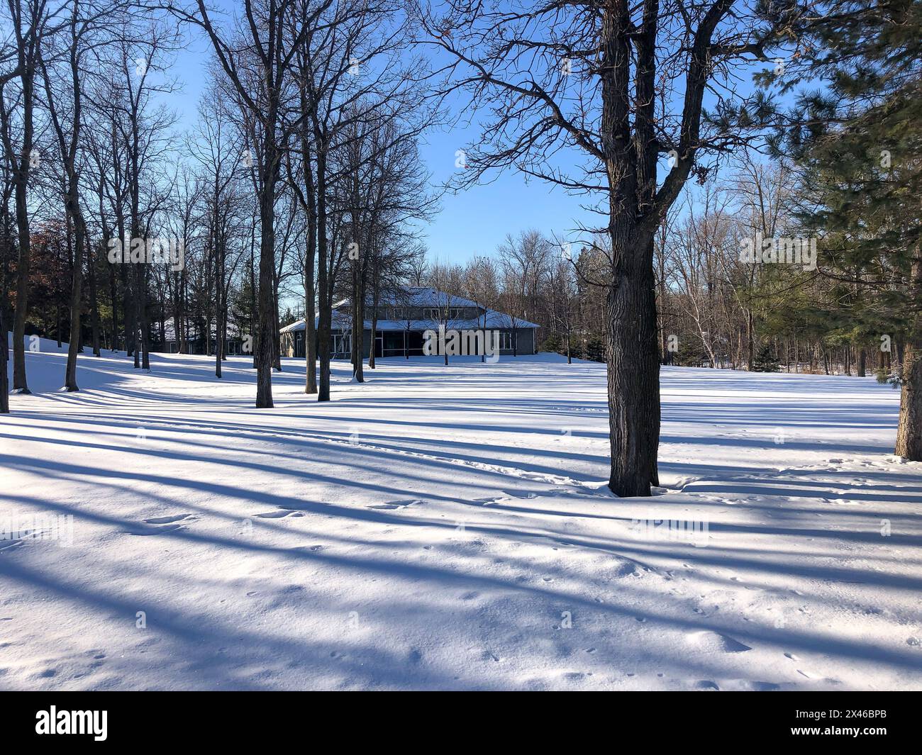 Beautiful snow covered garden hi-res stock photography and images - Alamy