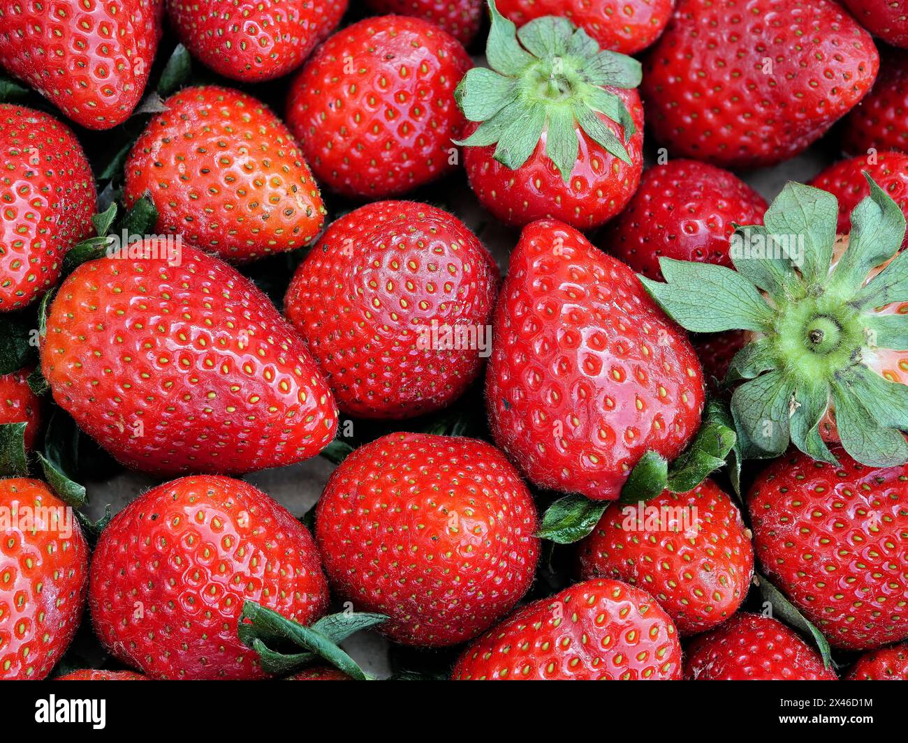 Juicy, vibrant strawberries! Packed with vitamins, antioxidants, and ...