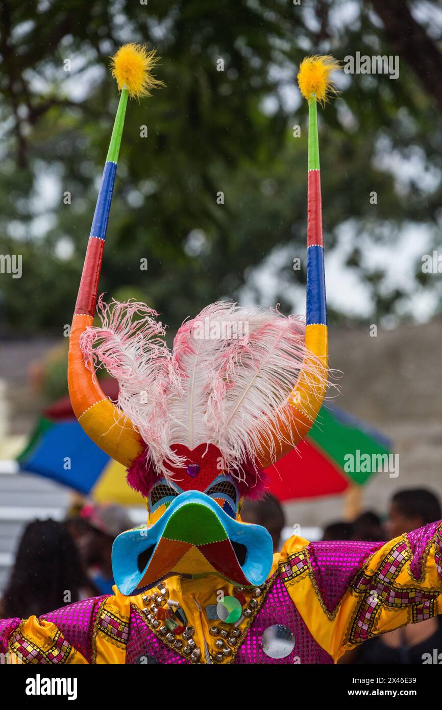 A Lechone costume from Santiago with a duck bill mask and horns in the ...