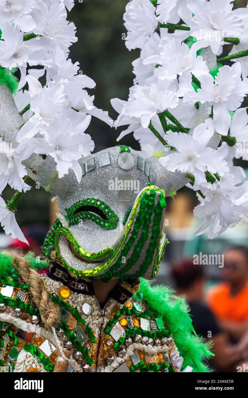 A Lechone costume from Santiago with a duck bill mask and horns in the ...