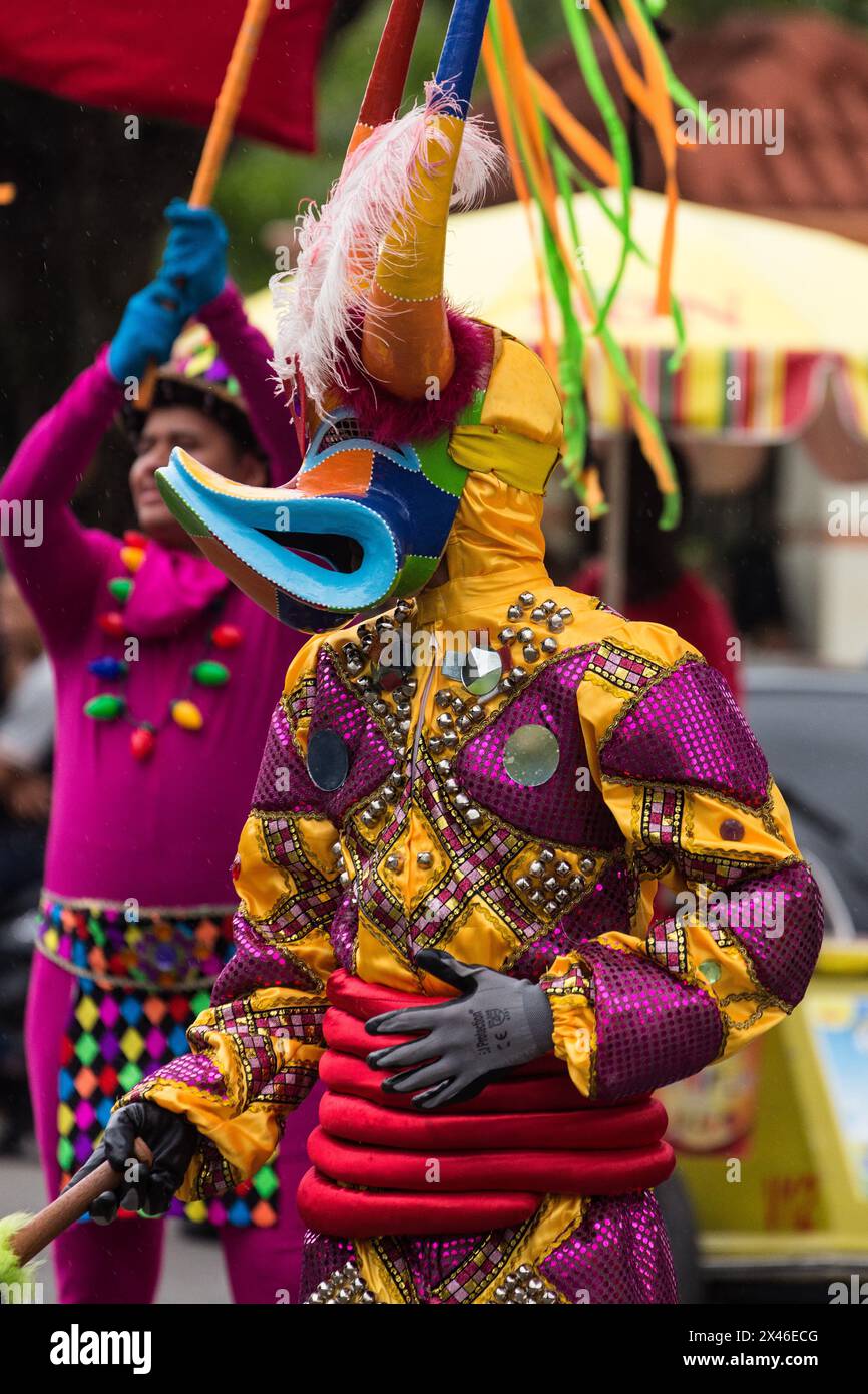 A Lechone costume from Santiago with a duck bill mask and horns in the ...