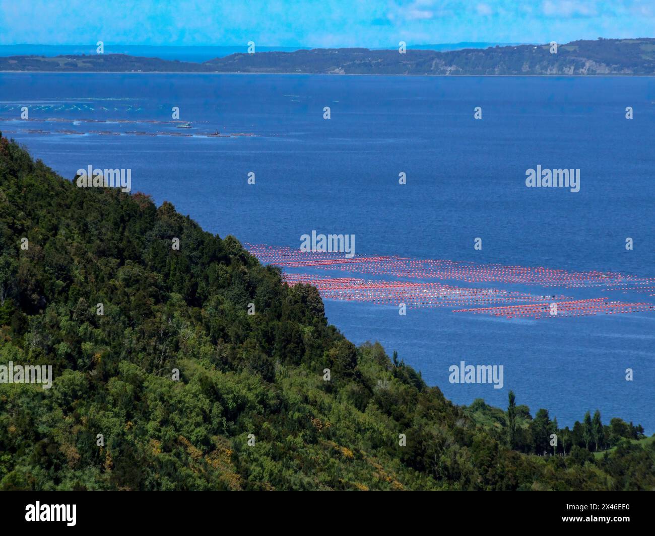 Salmon farming or aquaculture with floating fish pens in the Sea of ...