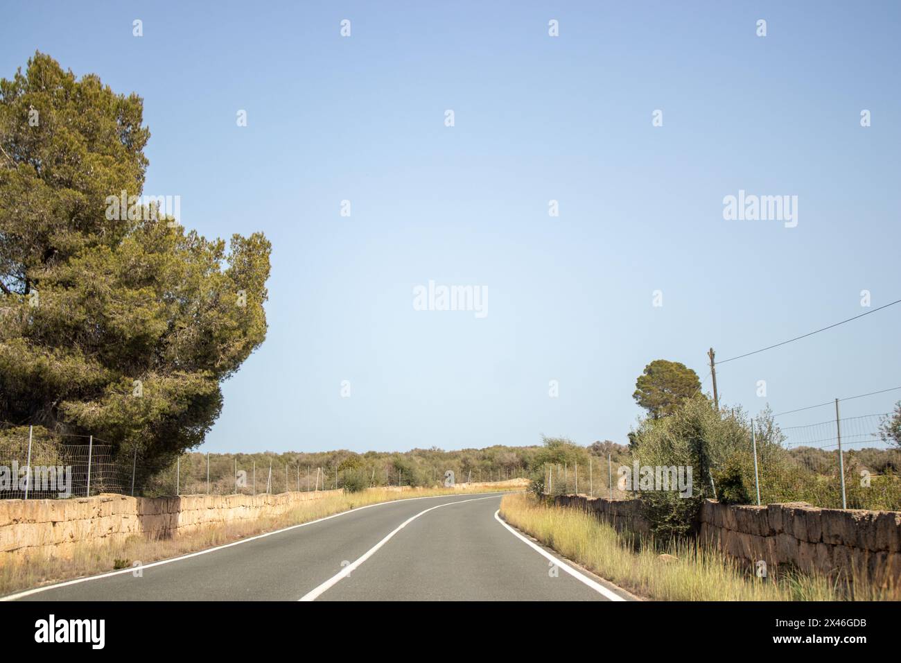 Scenic country side road view in Europe on a summer day Stock Photo - Alamy