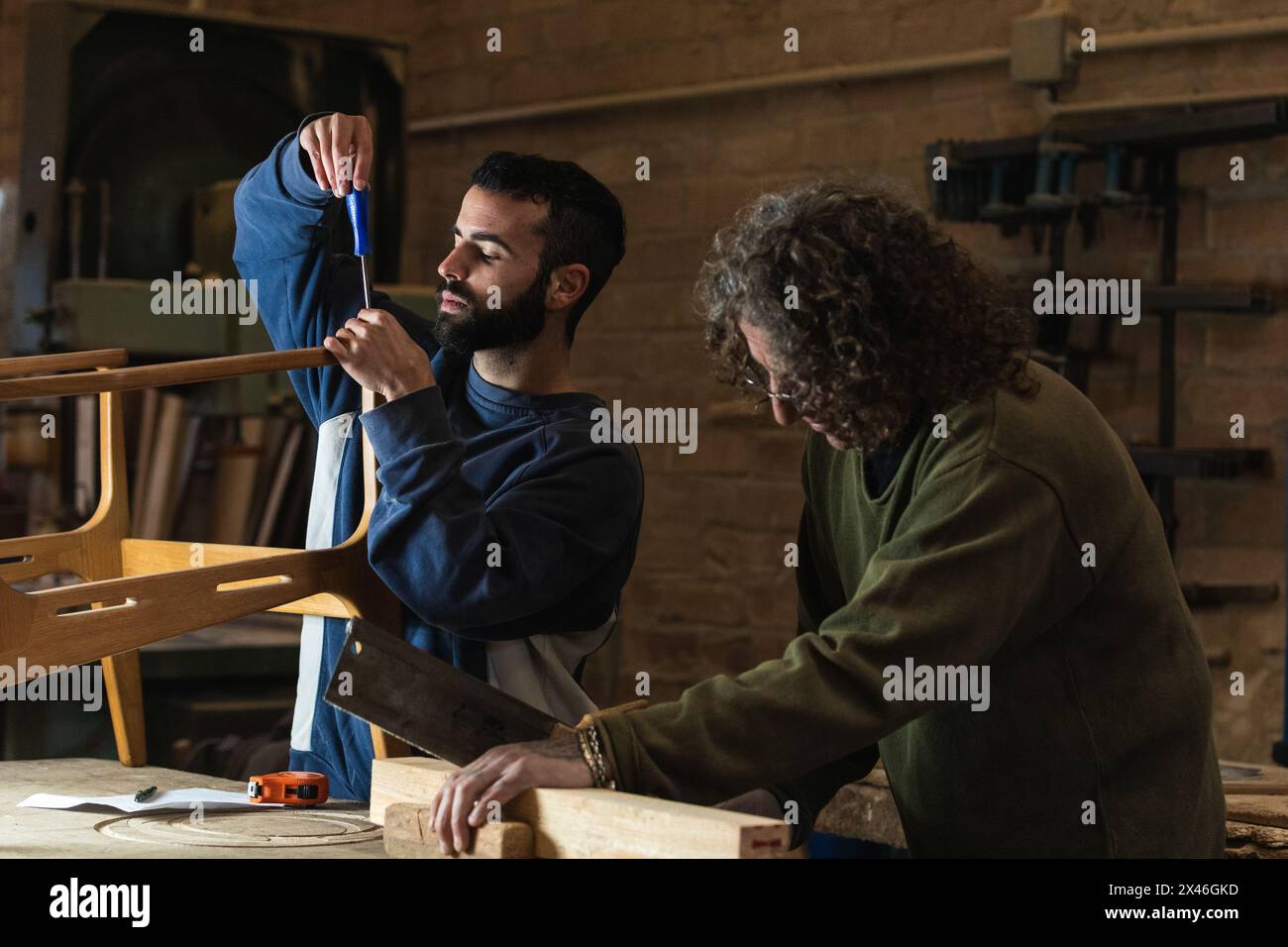 Concentrated skilled carpenters with saw and screwdriver making chair ...