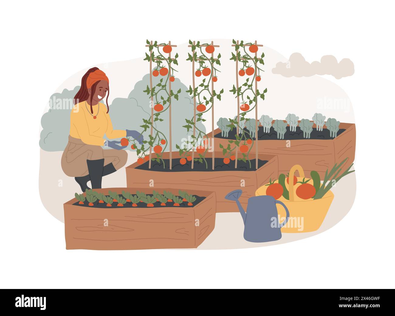 Growing vegetables isolated concept vector illustration Stock Vector Image & Art - Alamy