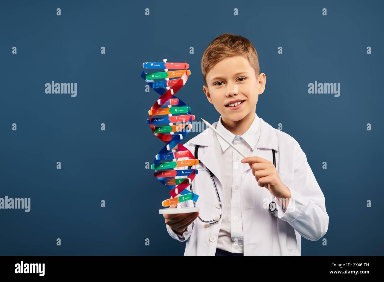 A cute preadolescent boy, dressed as a doctor, holds a model of a ...