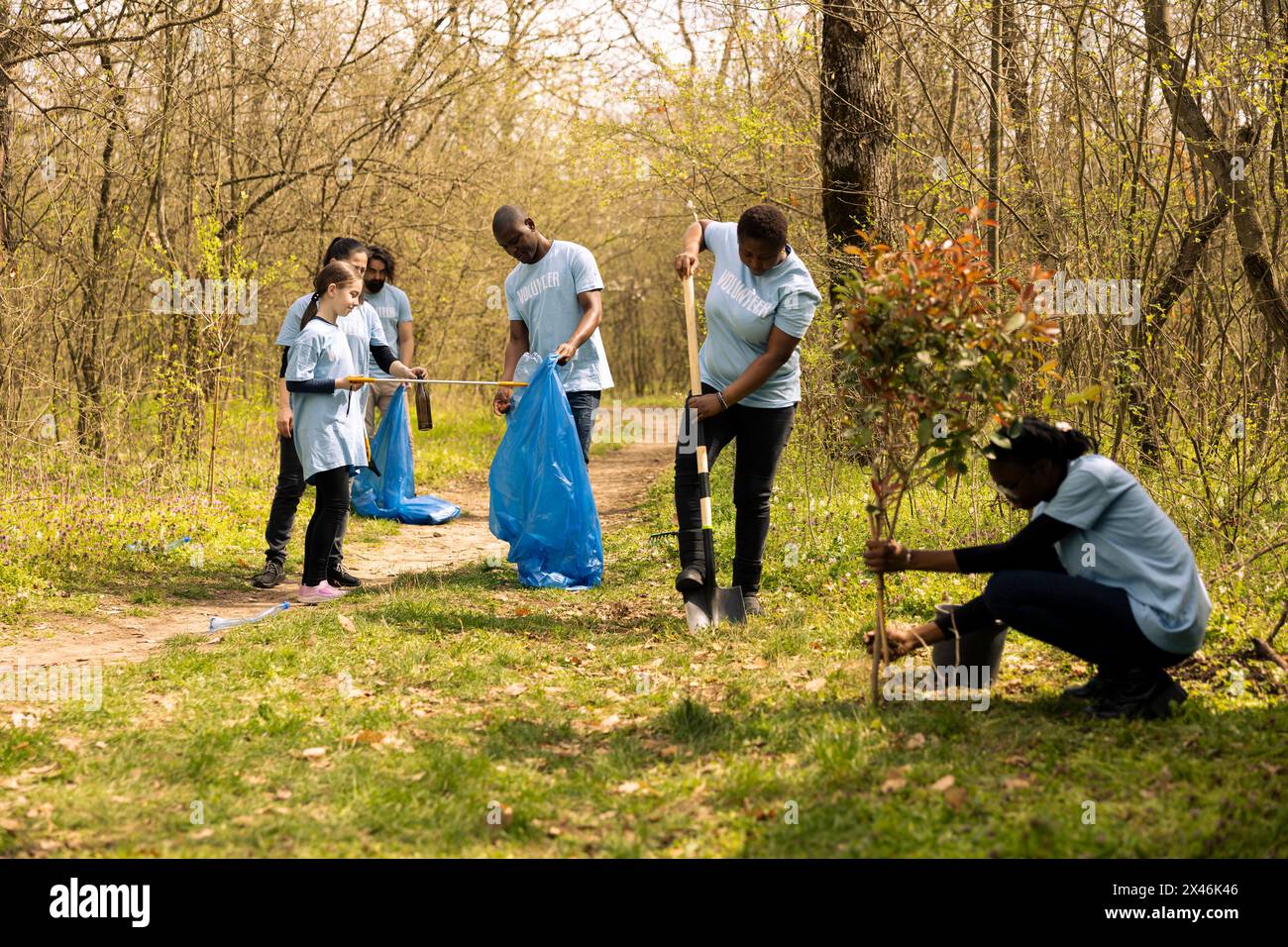 Group of diverse volunteers picking up the junk and plastic waste ...