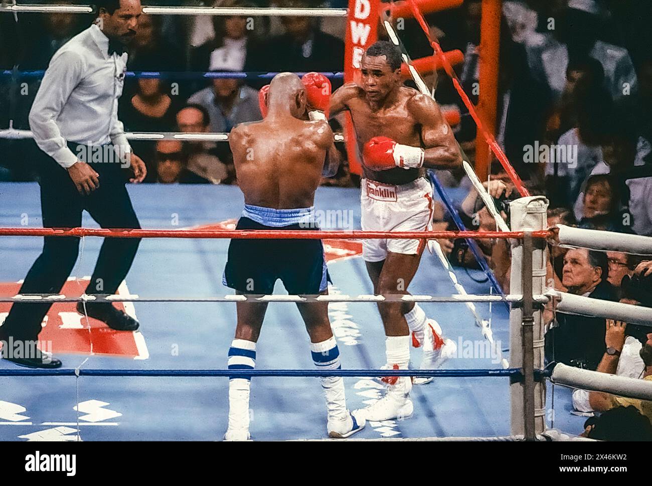 Boxing Suger Ray Leonard vs Marvin Hagler 1987 WBC and The Ring ...