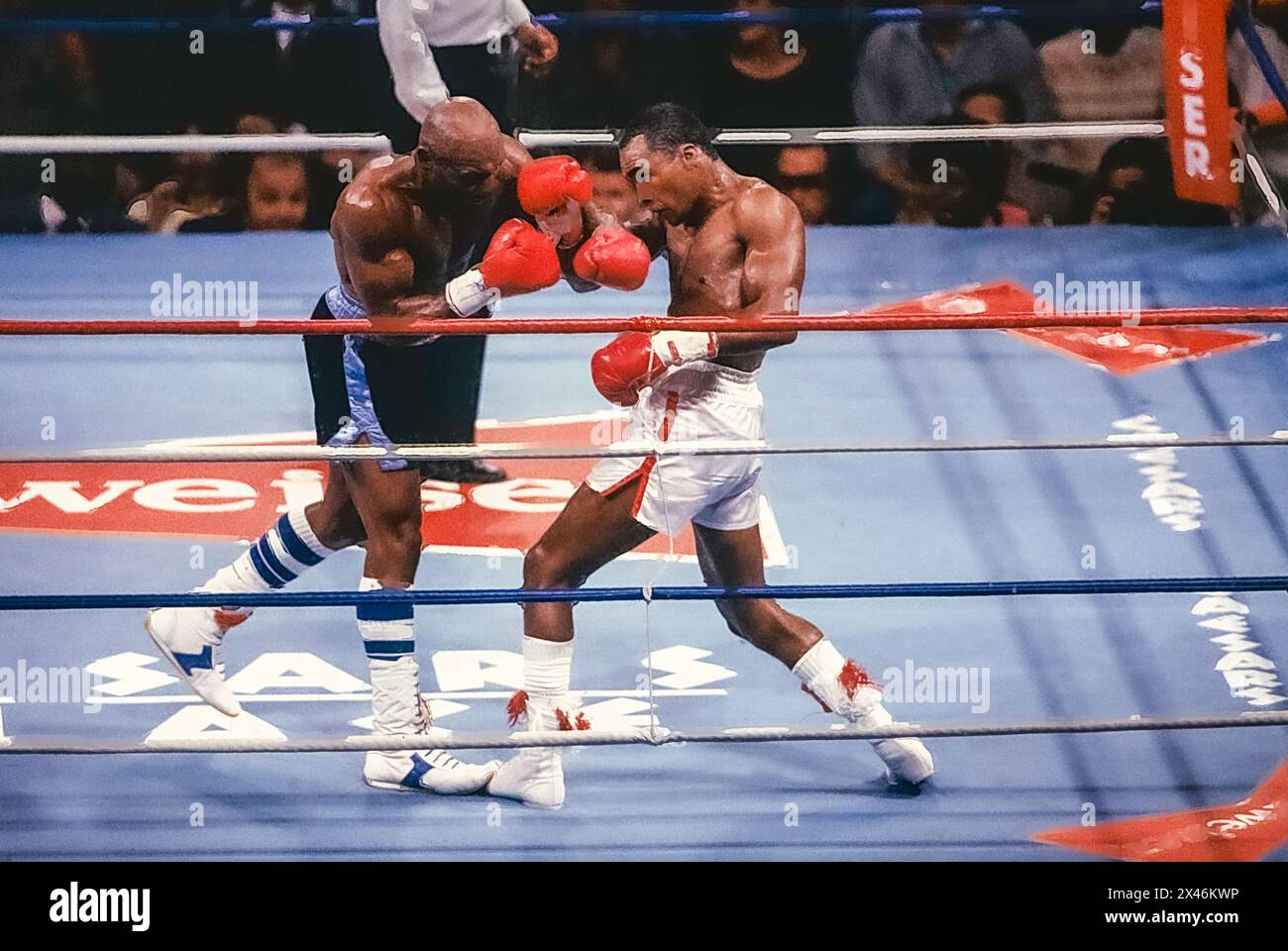 Boxing Suger Ray Leonard vs Marvin Hagler 1987 WBC and The Ring ...