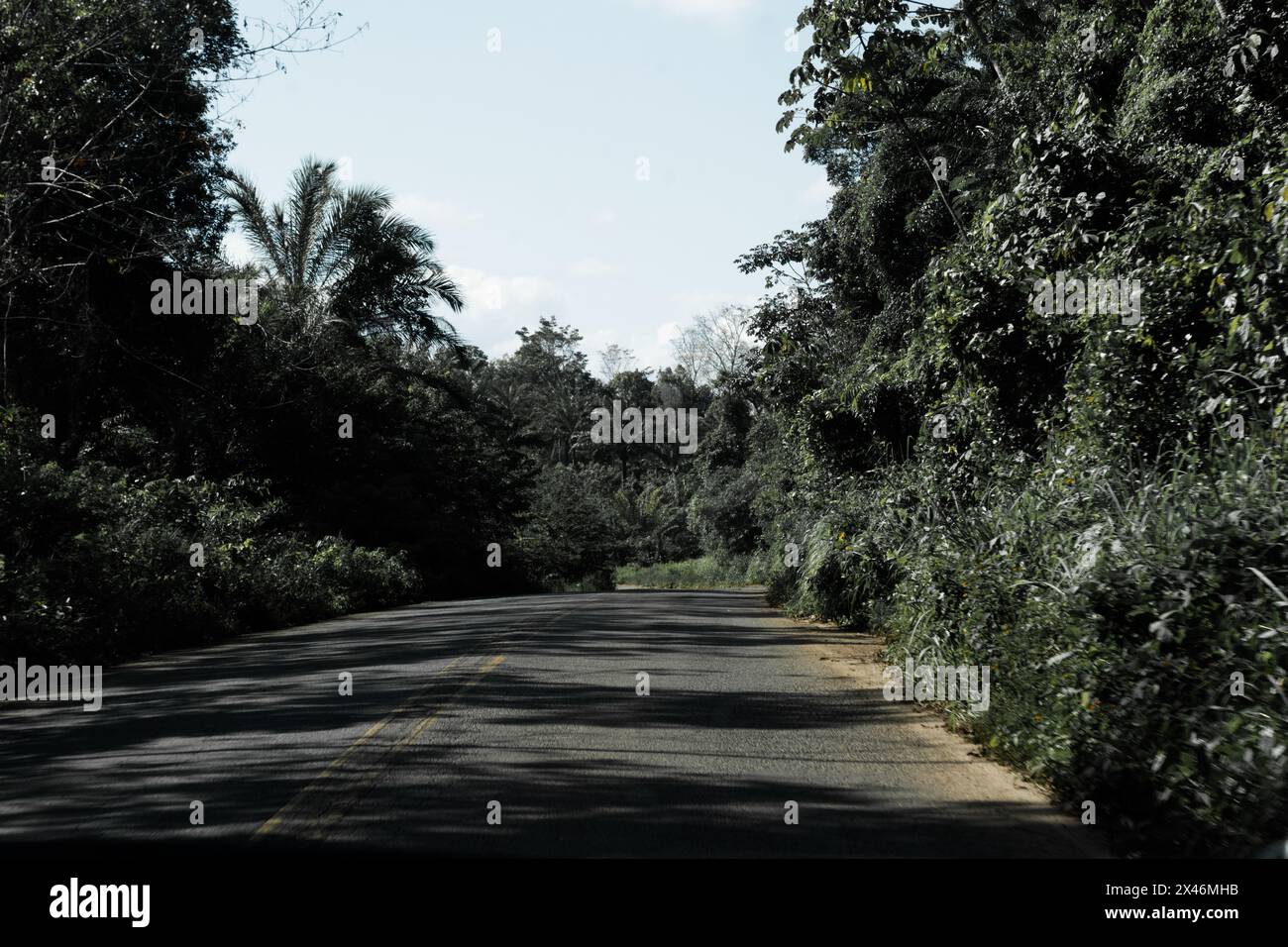 Asphalt road with tropical forest around. Mystery on the journey. Bahia ...