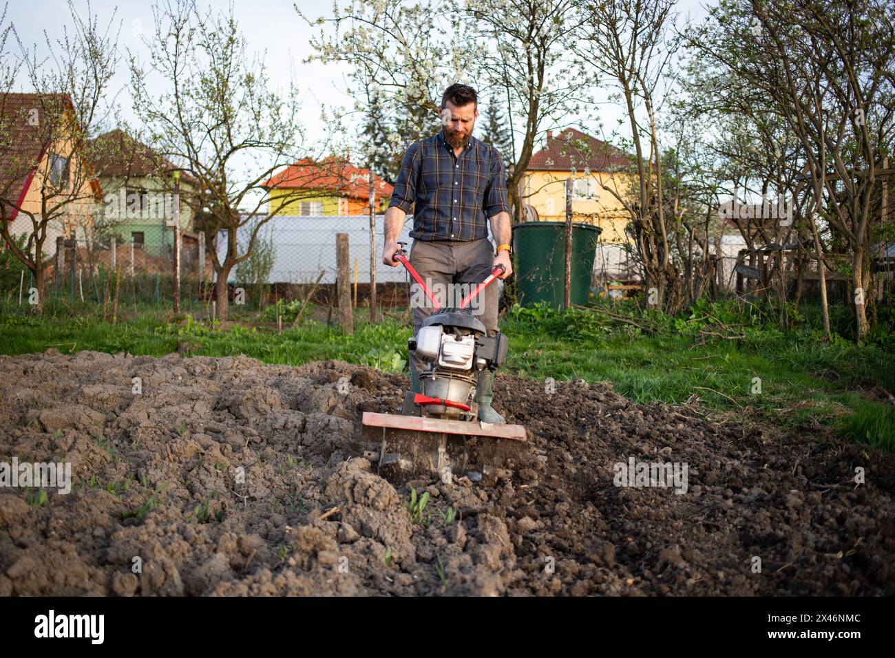 organic farming man ploughs the ground at sunset with a tiller ...