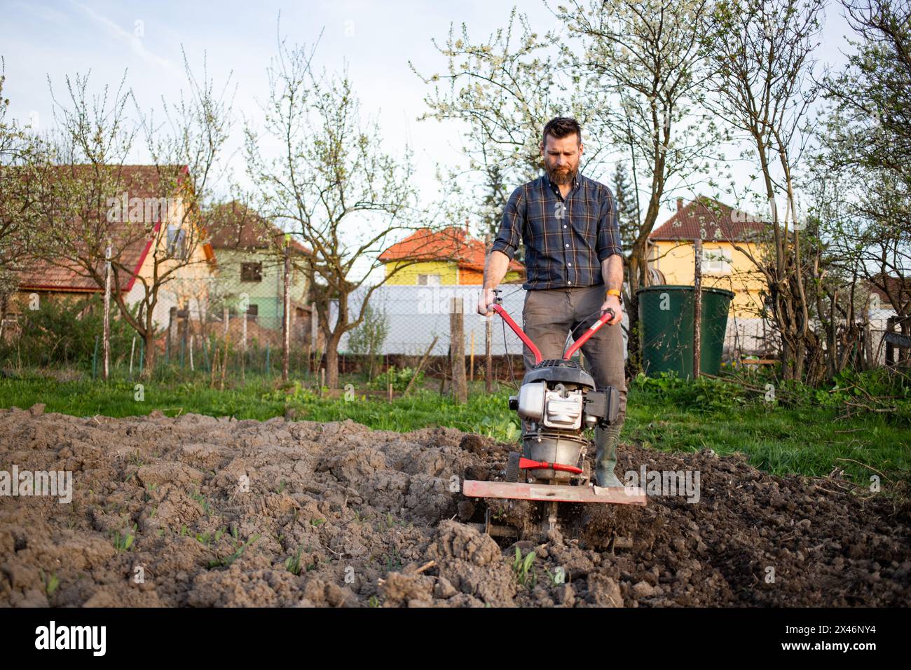 organic farming man ploughs the ground at sunset with a tiller ...