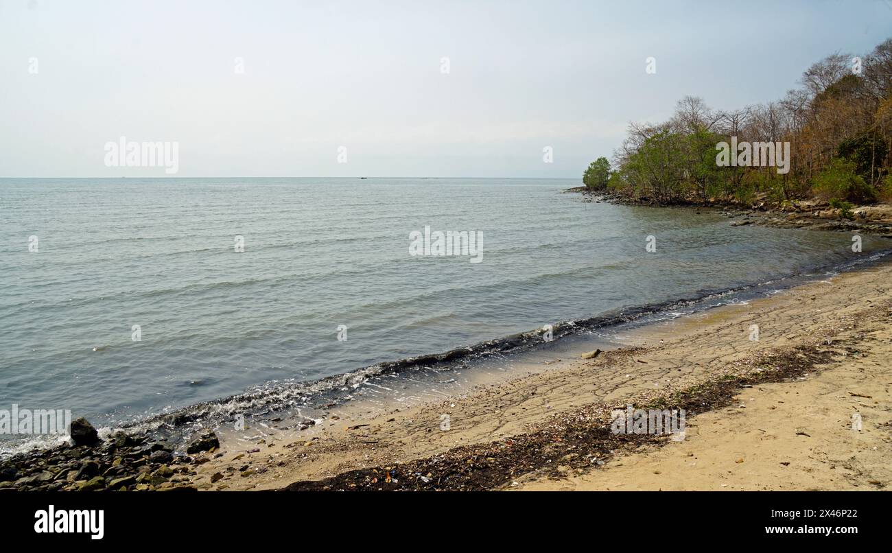 natural coconut beach near kampot in cambodia Stock Photo - Alamy