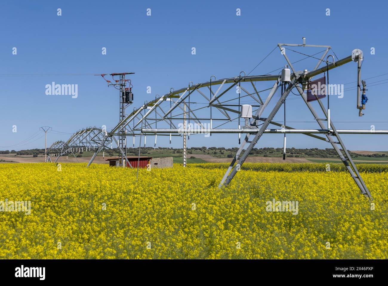 Automated farming irrigation sprinklers system hi-res stock photography ...