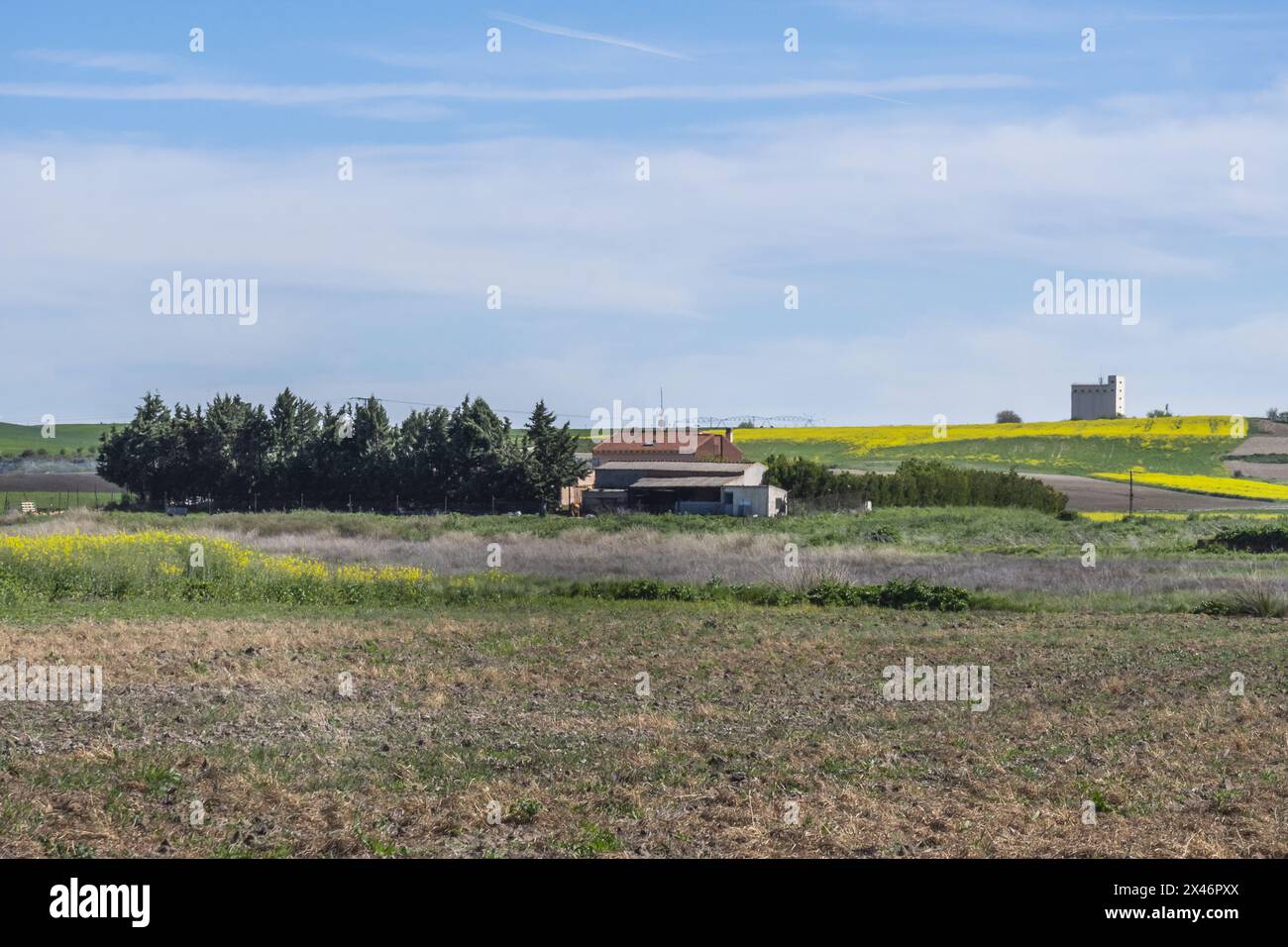 Farmers can adjust the speed of the linear system based on factors such ...