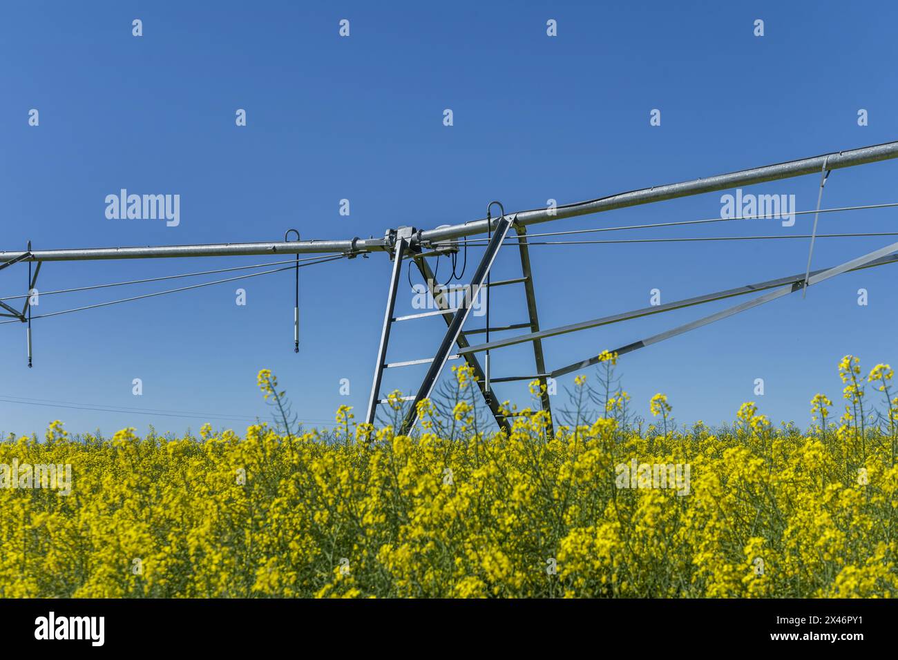 Farmers can adjust the speed of the linear system based on factors such ...