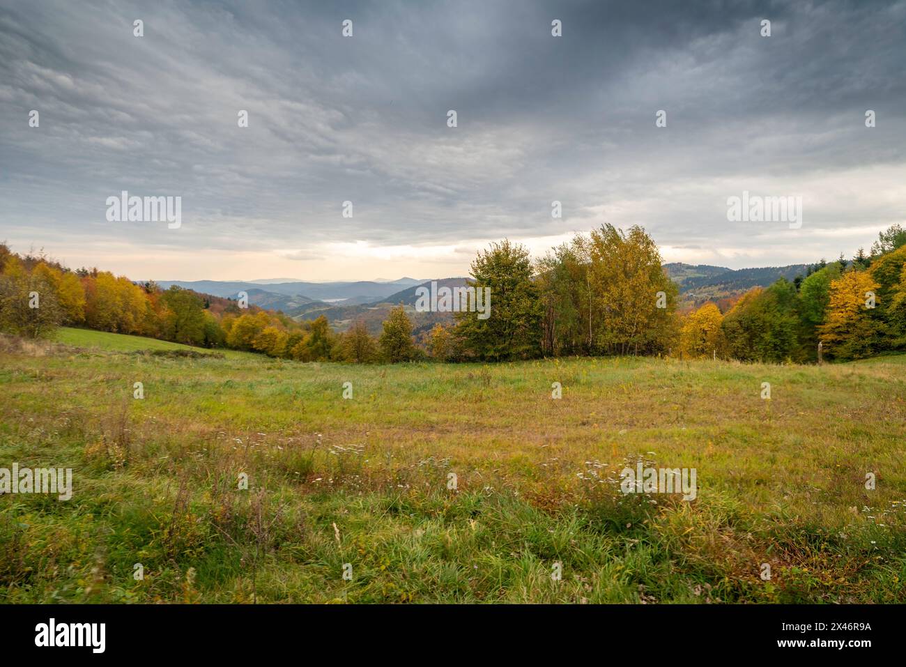 A beautiful autumn in the Polish mountains of Island Beskids in Lesser ...