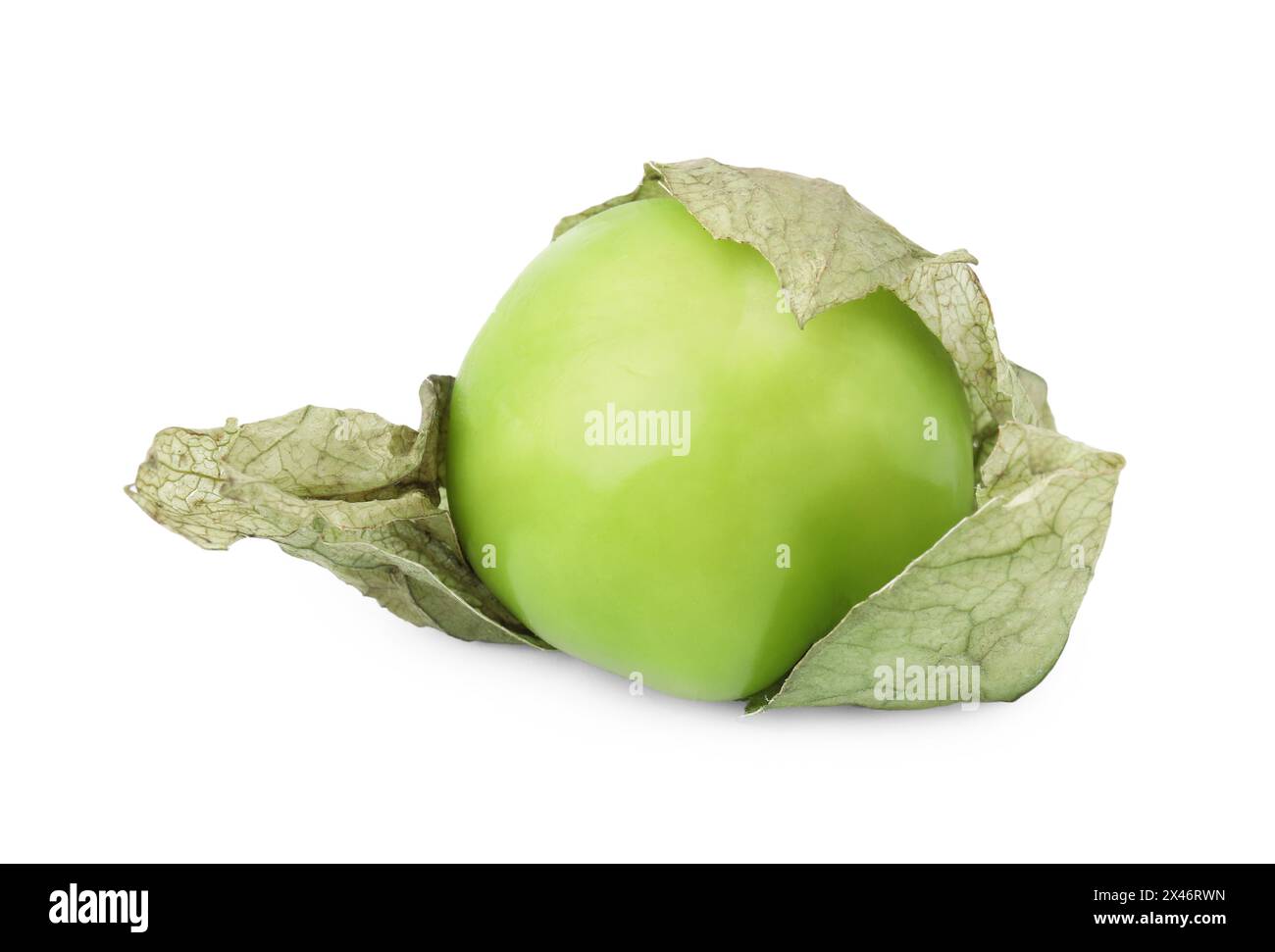 Fresh green tomatillo with husk isolated on white Stock Photo - Alamy