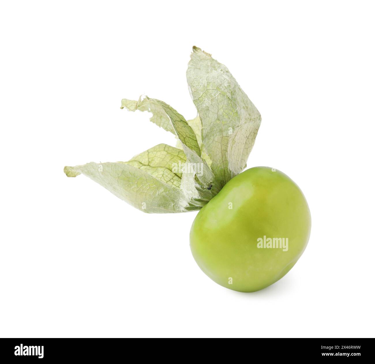 Fresh green tomatillo with husk isolated on white Stock Photo - Alamy