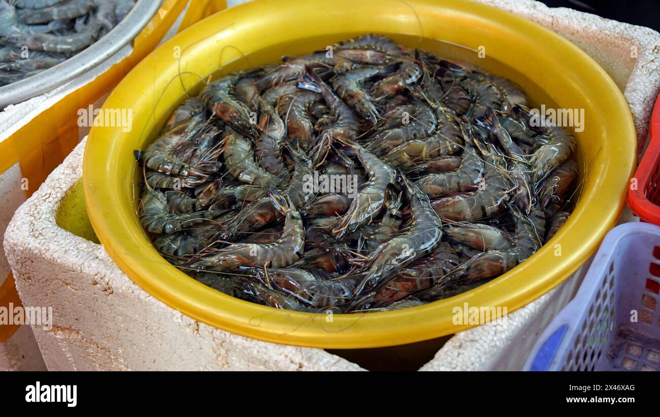 tasty street food on the local market in kampot in cambodia Stock Photo ...