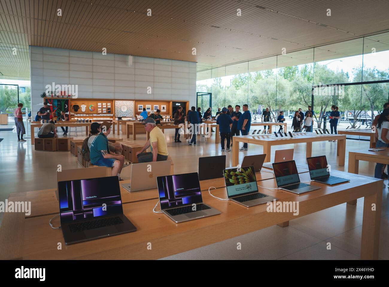 Apple store interior with trees hi-res stock photography and images - Alamy