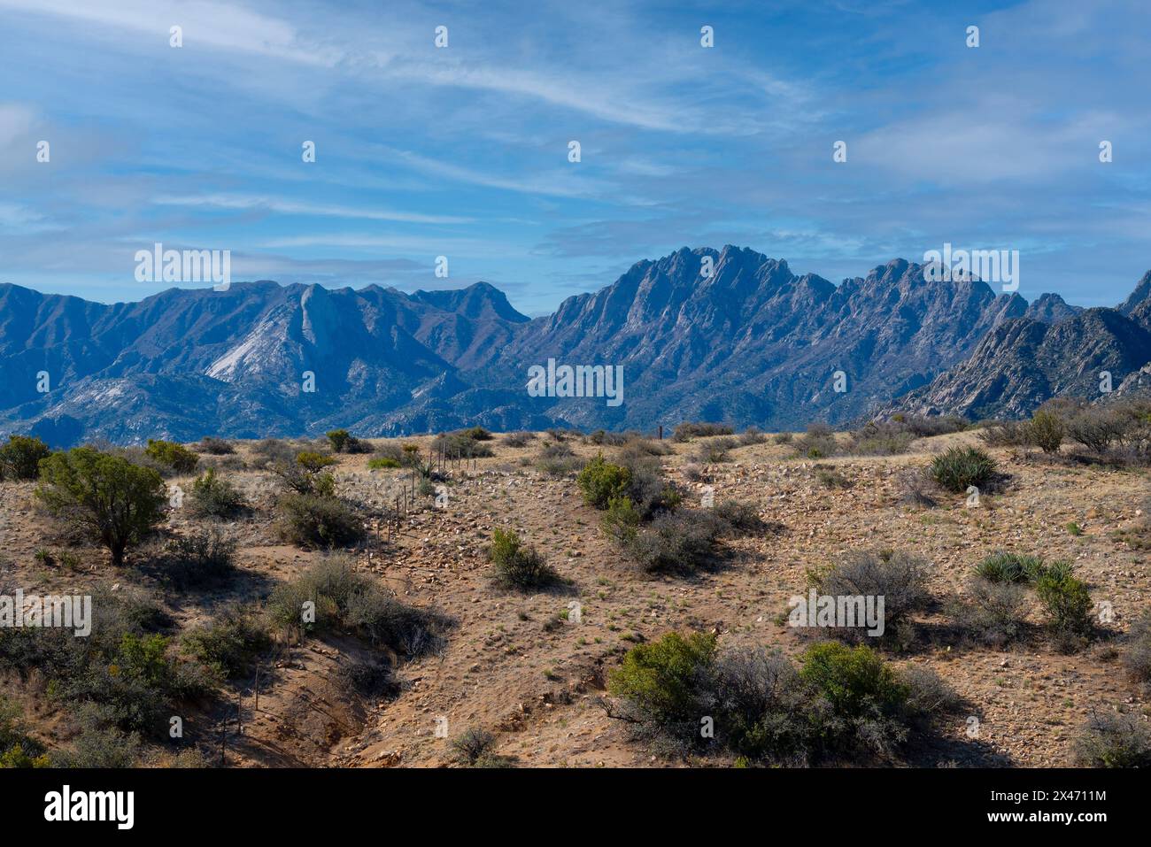 Baylor Peak, Organ Needle in the Organ Mountains desert Peaks National ...