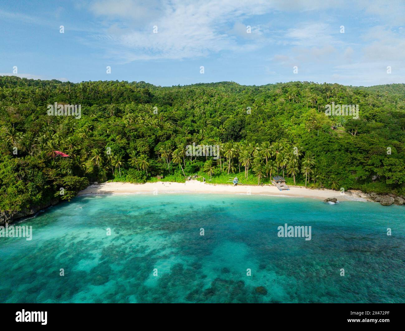 Carabao island coconut trees white hi-res stock photography and images ...