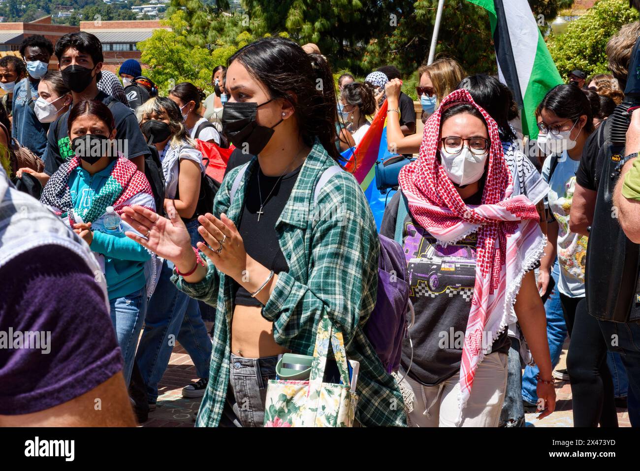Crowd inside protester camp during Palestine protest at UCLA. Credit ...