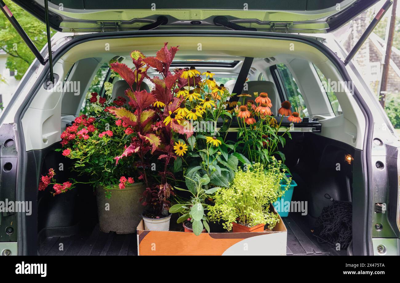 Car boot full of plants hi-res stock photography and images - Alamy