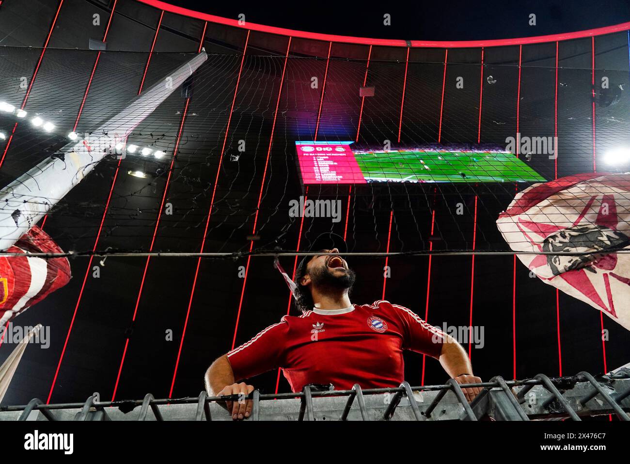 Munich, Germany. 30th Apr, 2024. FC Bayern Munchen's ultra fan during ...