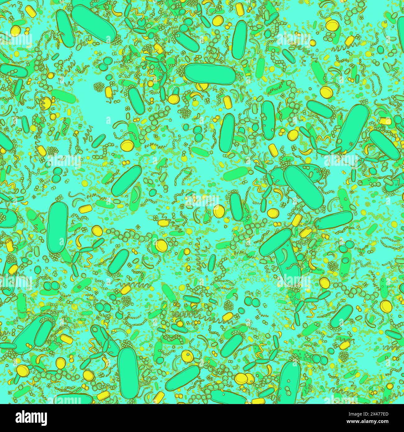 Bacteria, conceptual illustration Stock Photo - Alamy