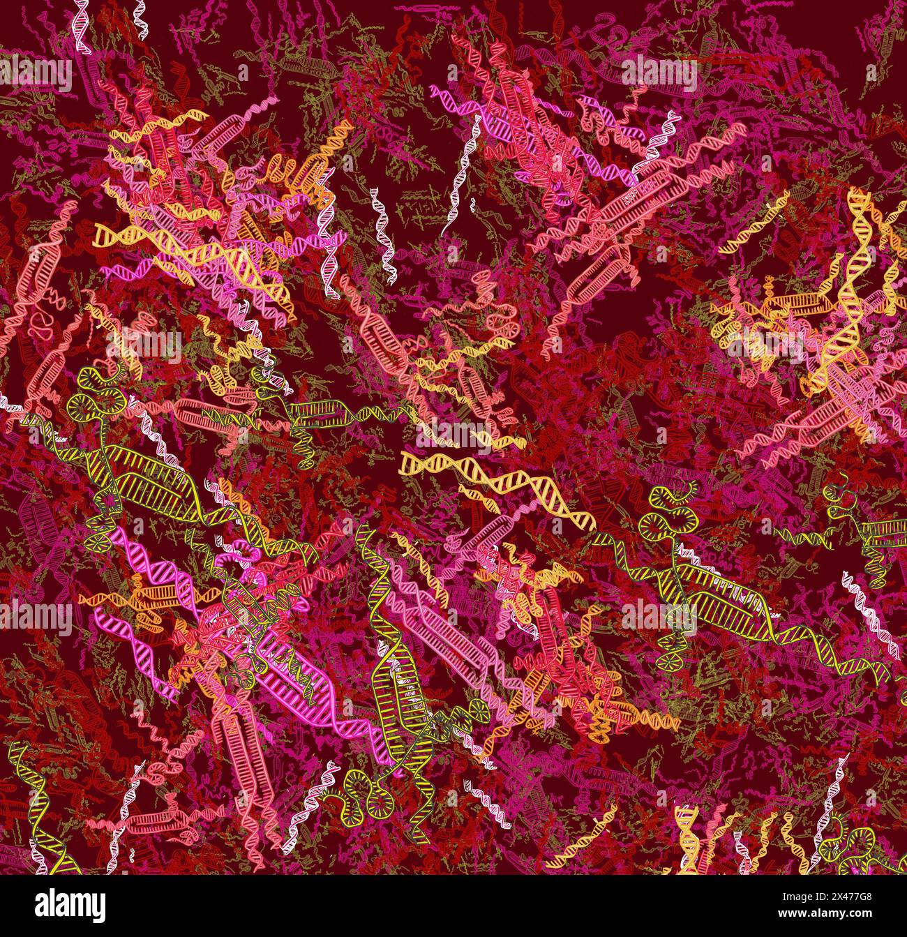 Conceptual illustration of the CRISPR-Cas9 gene editing complex. The ...