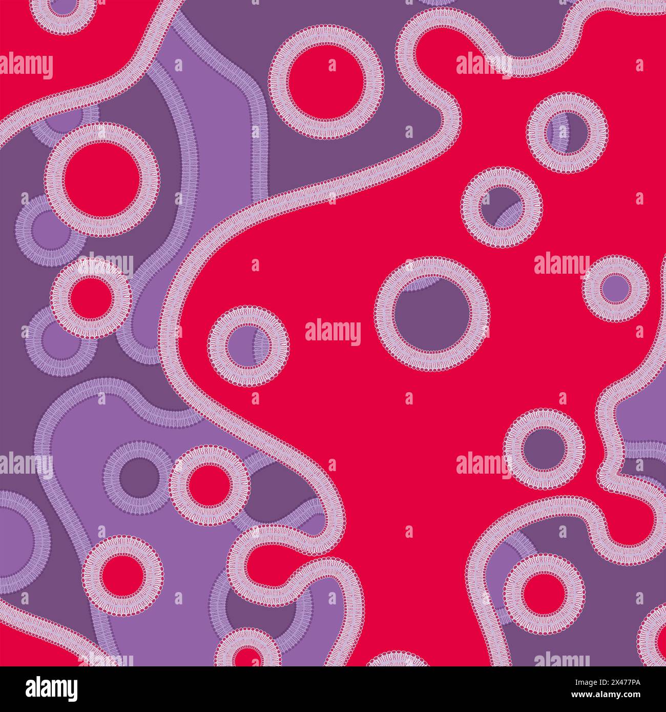 Cell membranes and vesicles, conceptual illustration. Cell membranes ...