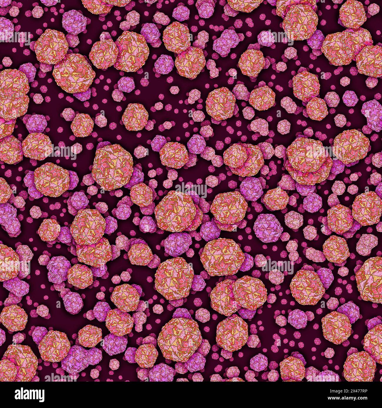 Rhinovirus, conceptual illustration. The rhinovirus is the most common ...