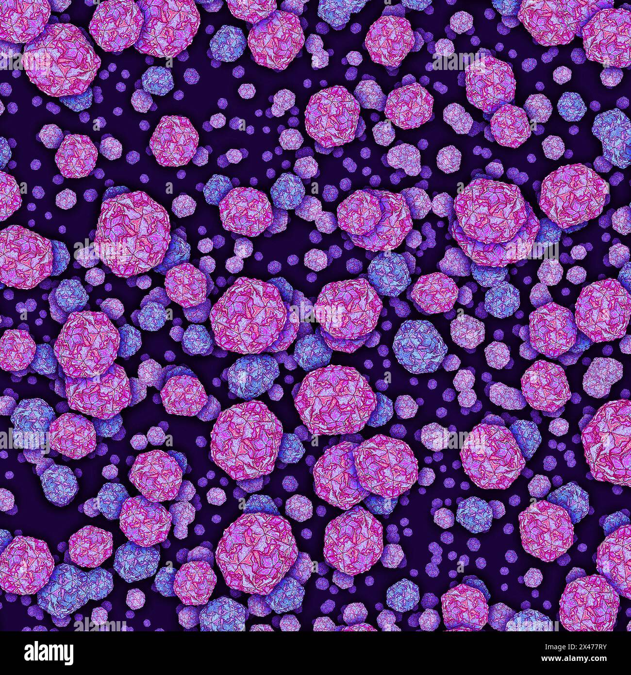 Rhinovirus, conceptual illustration. The rhinovirus is the most common ...