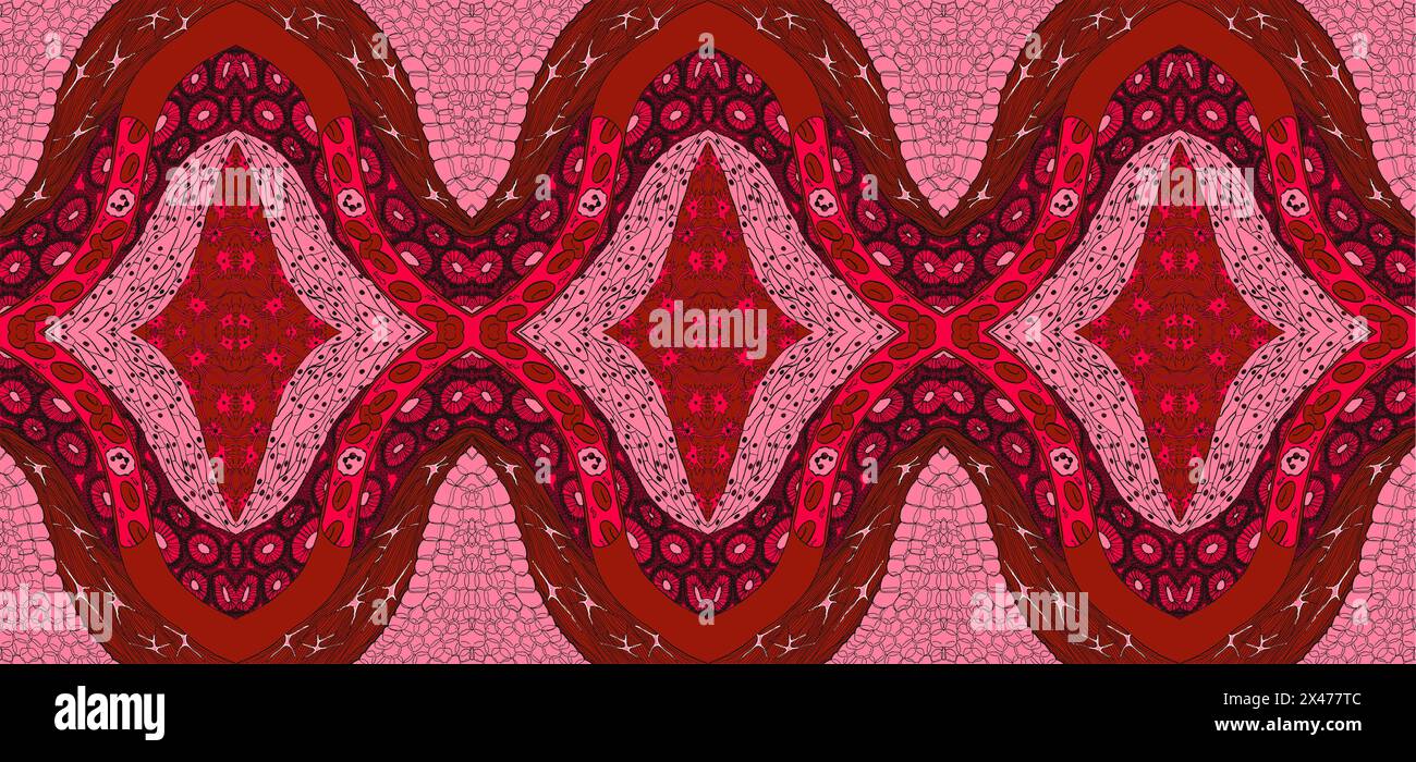 Human tissues, conceptual illustration Stock Photo - Alamy