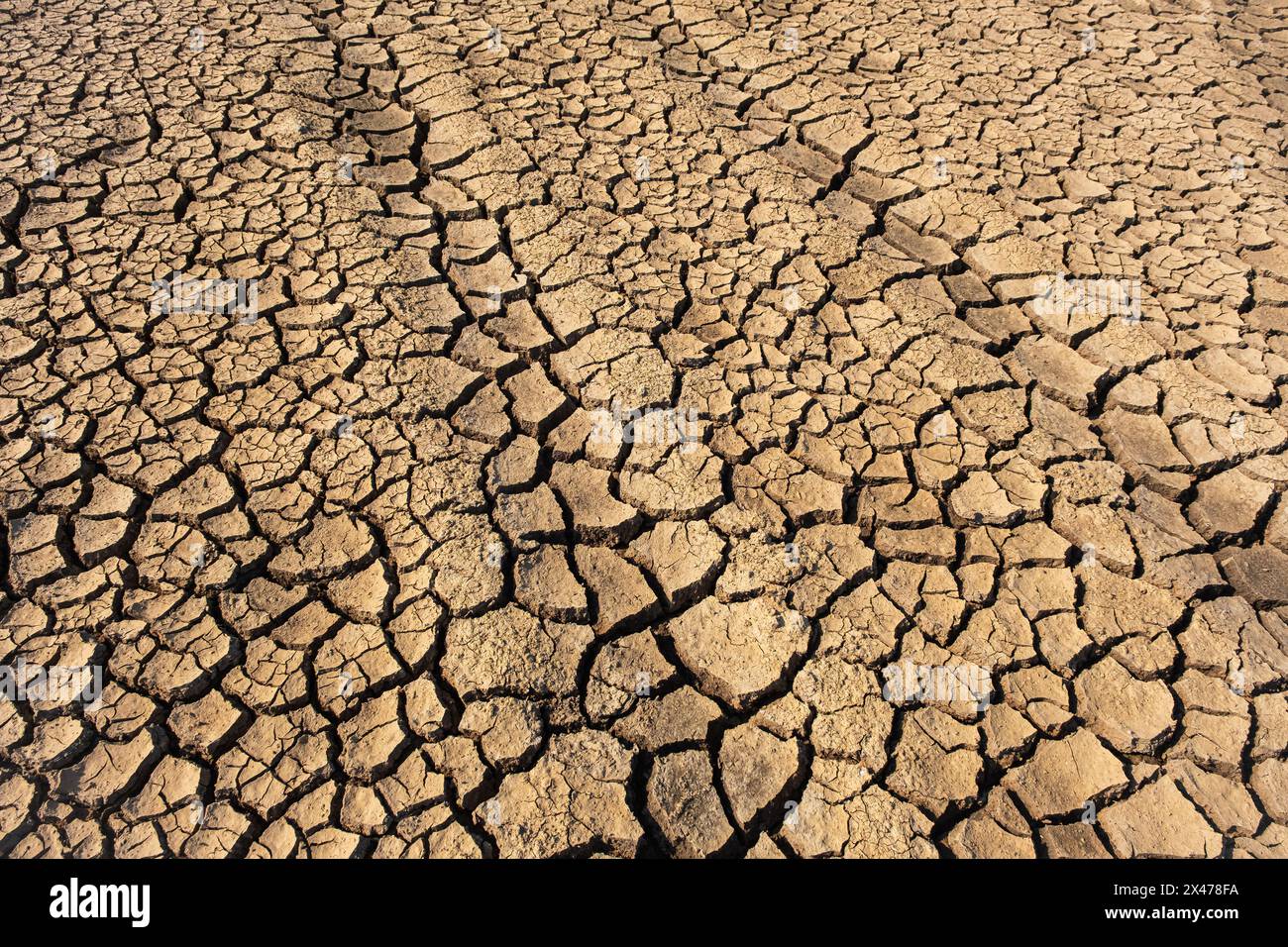 Dry cracked desert. The global shortage of water on the planet. Global ...